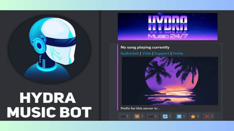 Top 8+ bot Discord music miễn phí, dễ dùng để nghe nhạc 24/7